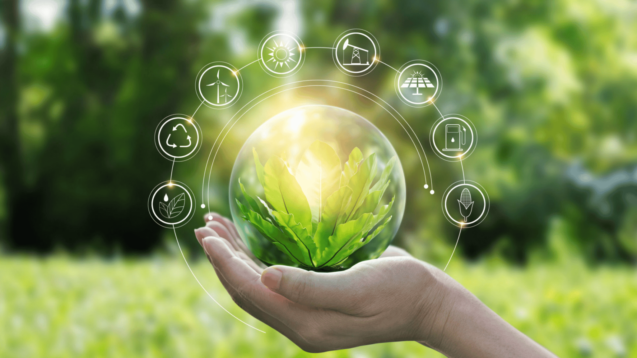 Infrastructure - Balranald Shire Council